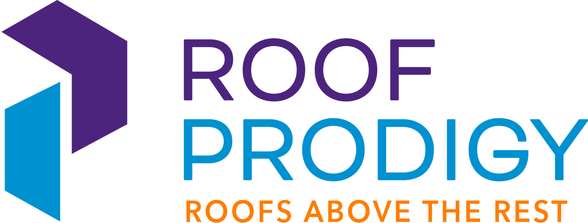 Home - Roof prodigy